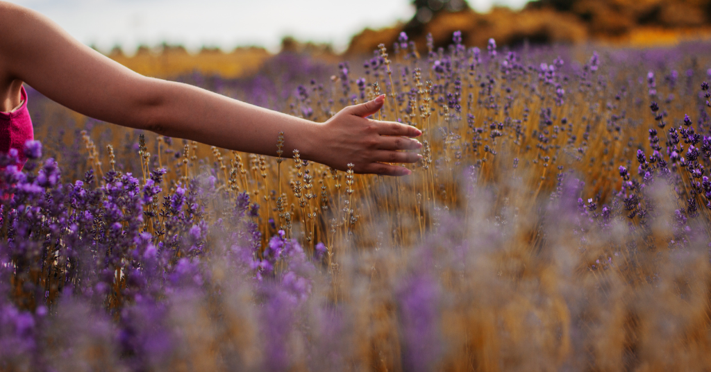 A importância do Purple Day para desmistificar a Epilepsia | Neurológica